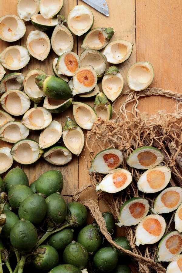 Betel palm stock image. Image of asian, rind, cultural - 60652831