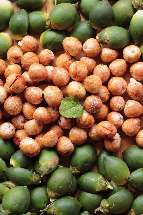 Betel palm stock image. Image of traditional, asia, peel - 60653139