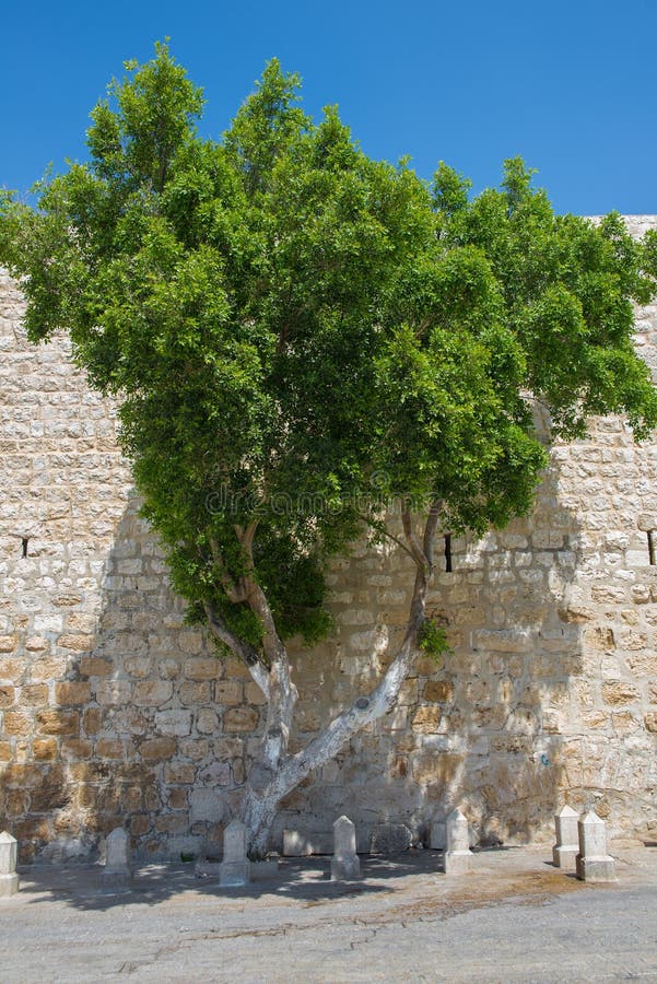 Bethlehem stock photo. Image of christian, christianity - 67119322