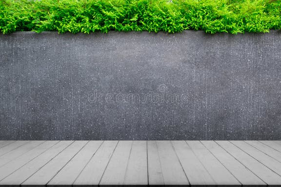 Betonwand Oder Marmorwand Und Holzboden Mit Zierpflanzen Oder Efeu Oder ...