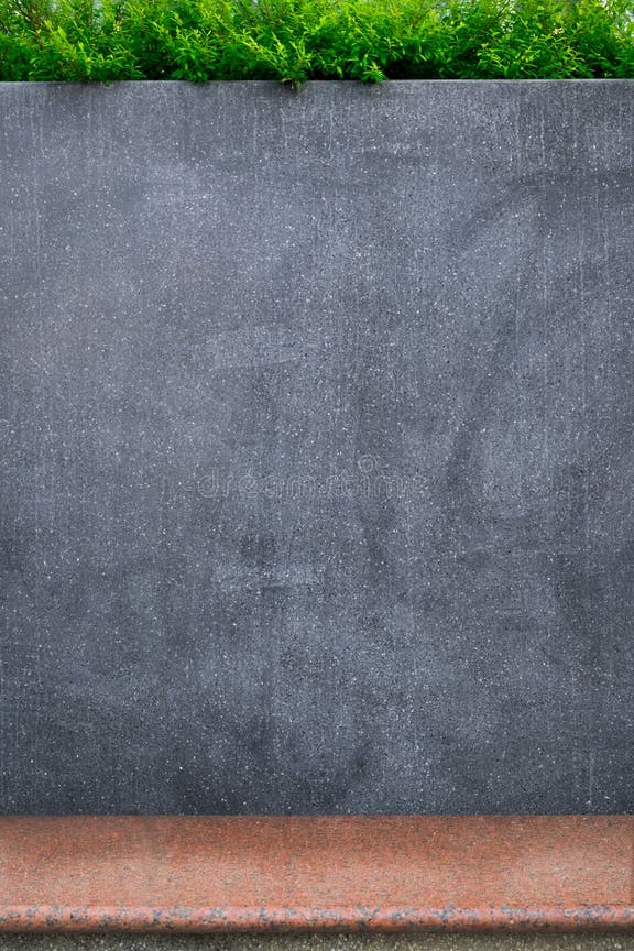 Betonmauer- Oder Marmorwand Und Marmorboden Mit Zierpflanzen Oder Efeu ...