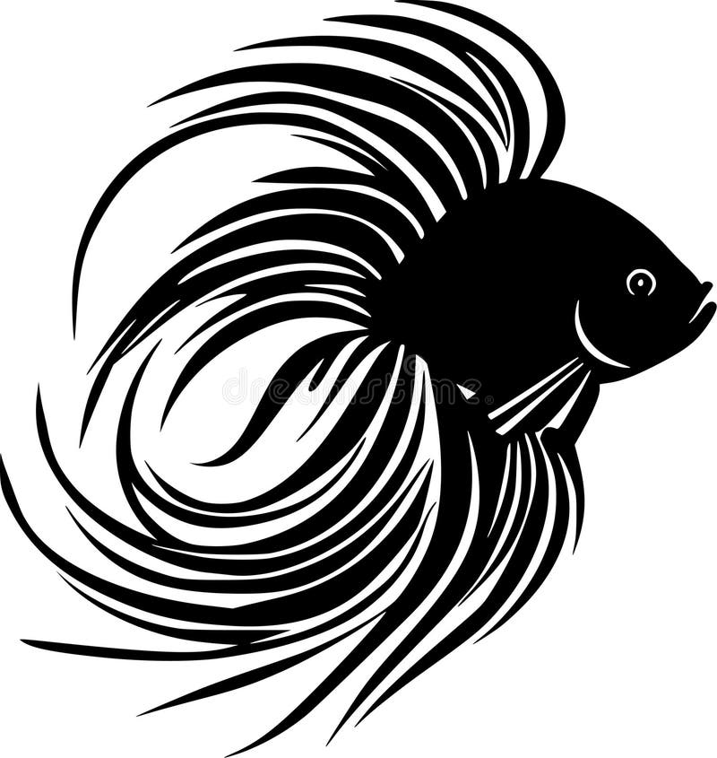 Betta Fish - Black and White Isolated Icon - Vector Illustration Stock ...