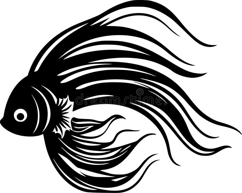 Betta Fish - Black and White Vector Illustration Stock Vector ...