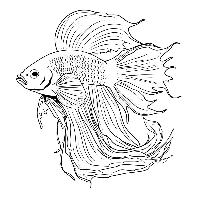 Betta Fish Coloring Pages for Kids Stock Vector - Illustration of page ...