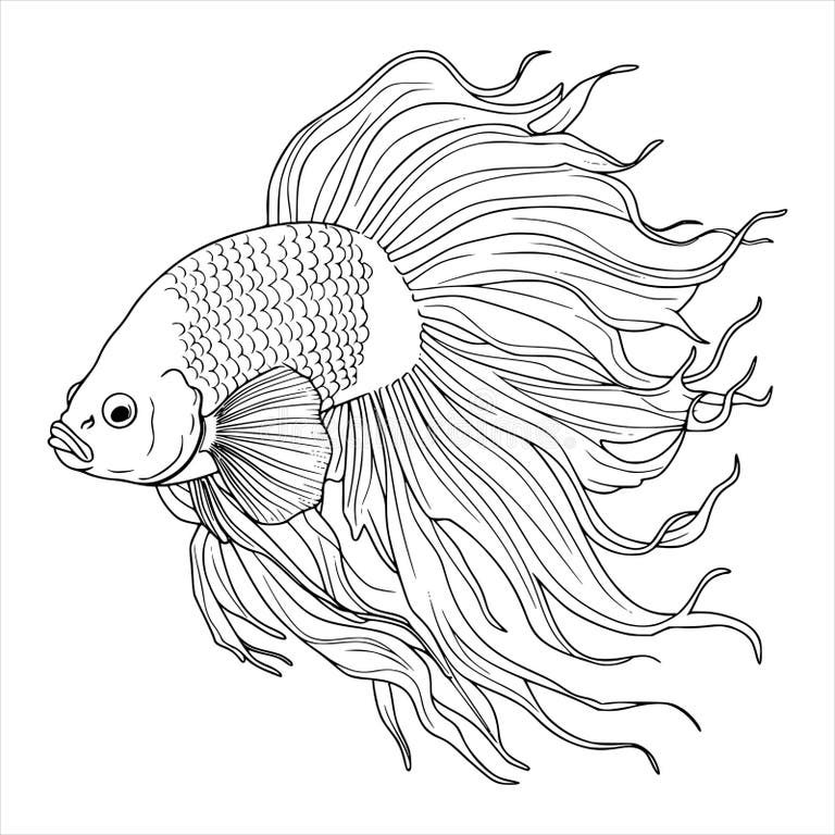 Betta Fish Coloring Pages for Kids Stock Vector - Illustration of baby ...