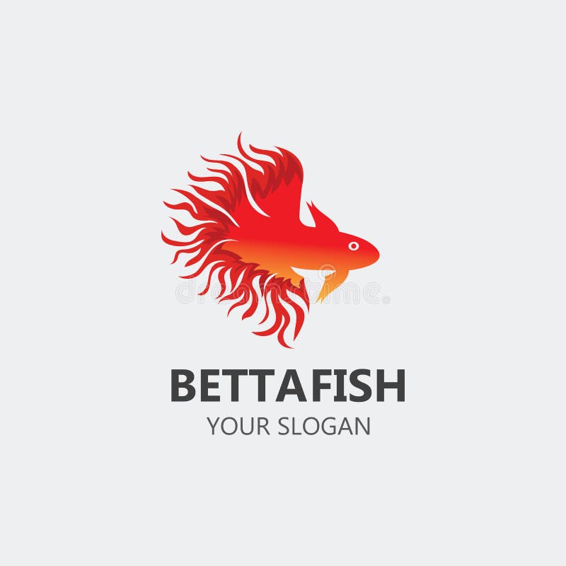 Betta Fish Modern Logo Style Design Vector Image Illustration Stock ...