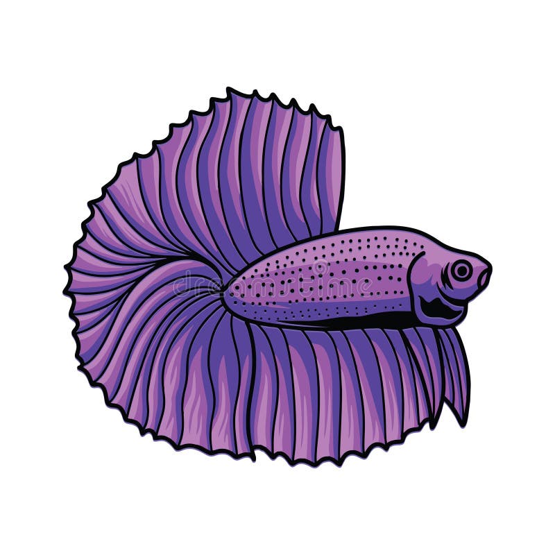 Betta Fish Vector Graphic Design Illustration Emblem Stock Vector ...