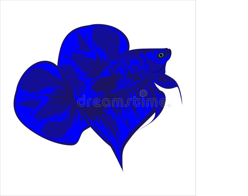 Betta Poisson Illustration Vectoriel Imagebase Rgb Illustration de ...