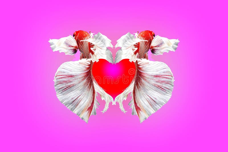 Animal Tails Heart Stock Illustrations – 237 Animal Tails Heart Stock ...