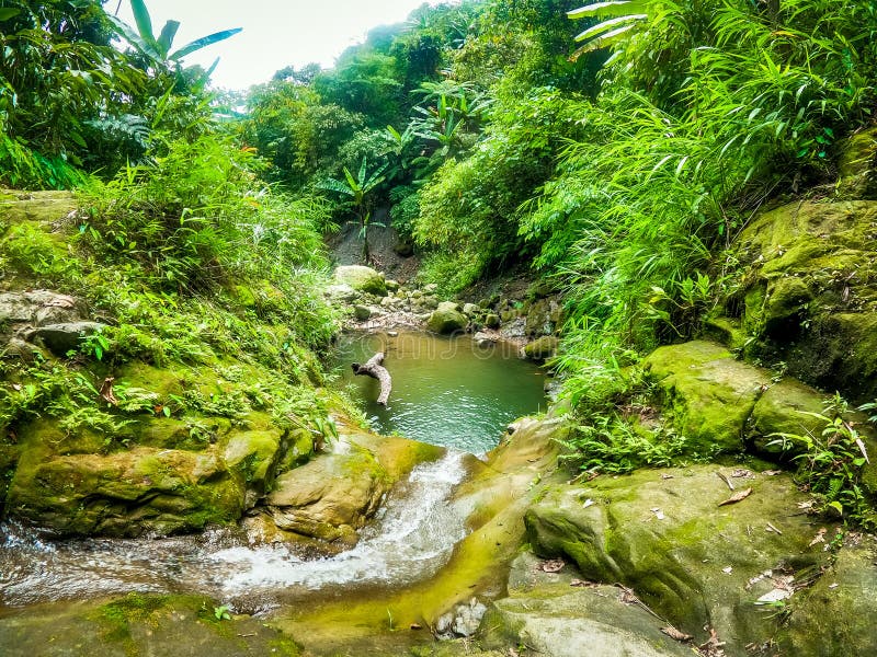 Better Environment Better Tomorrow, Save the Planet Earth Stock Photo ...