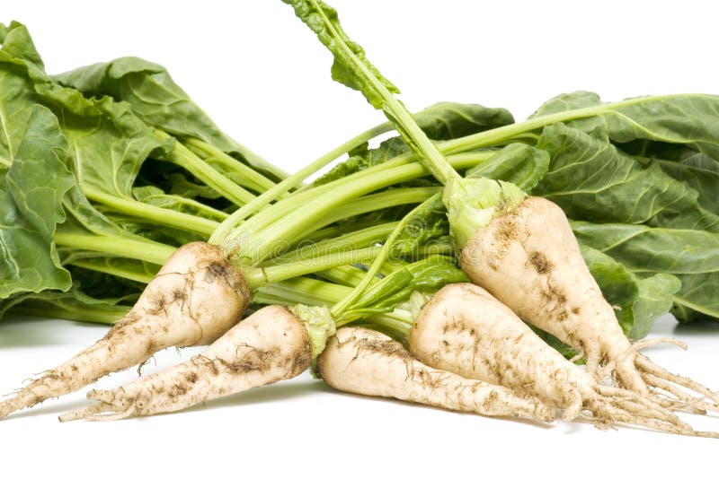 Lignes De Cultures De Plein Champ De Betterave à Sucre, Panorama ...