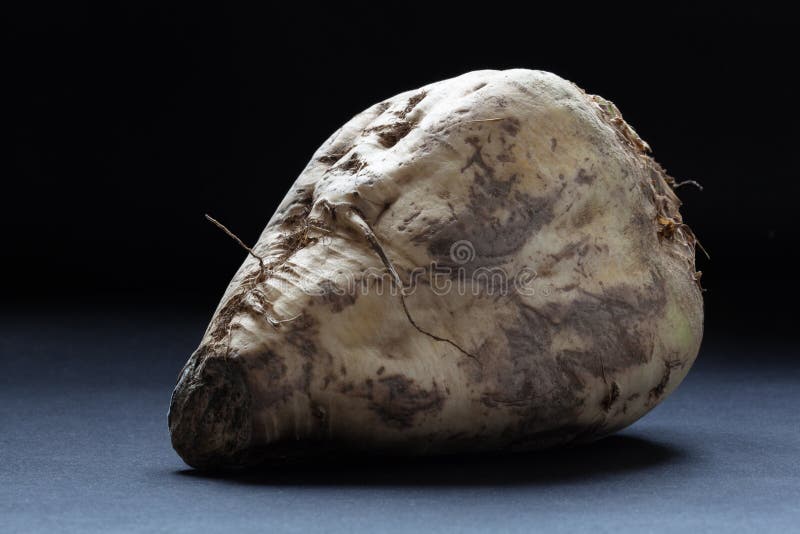 Betterave blanche photo stock. Image du moisson, fond - 16973590