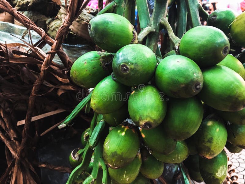 Bettle nuts stock image. Image of local, selling, nuts - 139758235