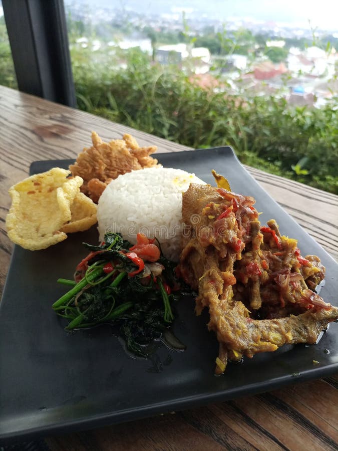 514 Java Duck Stock Photos - Free & Royalty-Free Stock Photos from ...