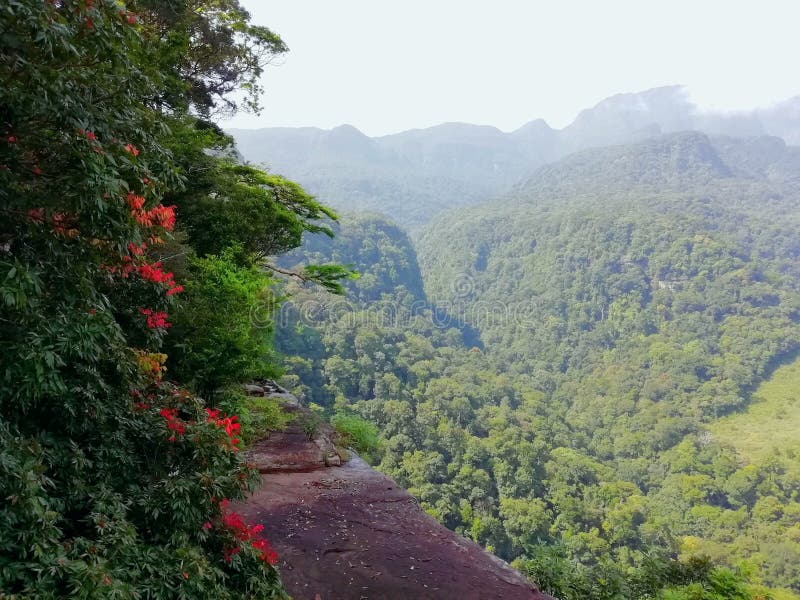 Beuseful View Point with Flowers and Mount Stock Photo - Image of ...