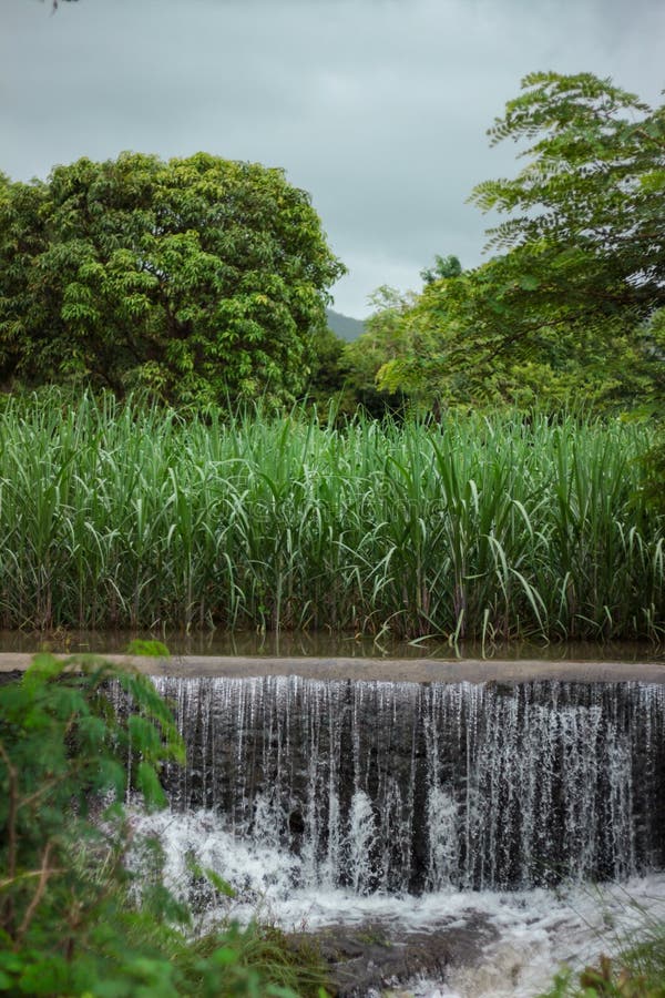 Beutiful waterfall in rain stock photo. Image of vegetation - 185448118