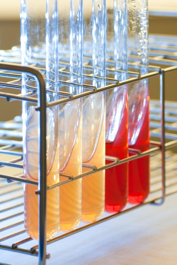 437 Agaragar Bars Stock Photos - Free & Royalty-Free Stock Photos from ...