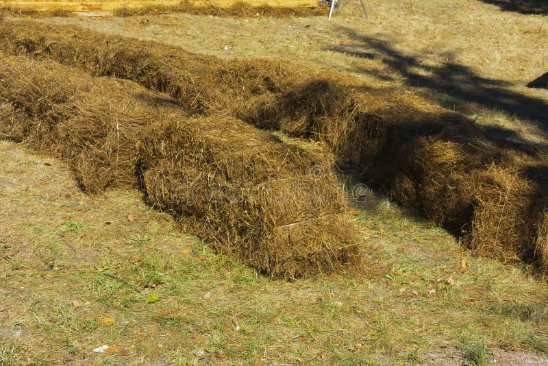 Beveled Straw Stacked in Bundles at the Fair Stock Photo - Image of ...