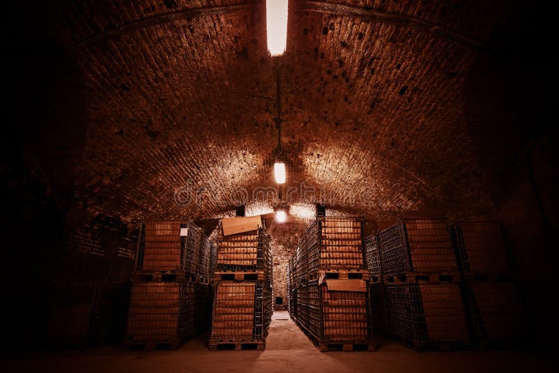 Beverage storage cellar stock photo. Image of inside - 46829572