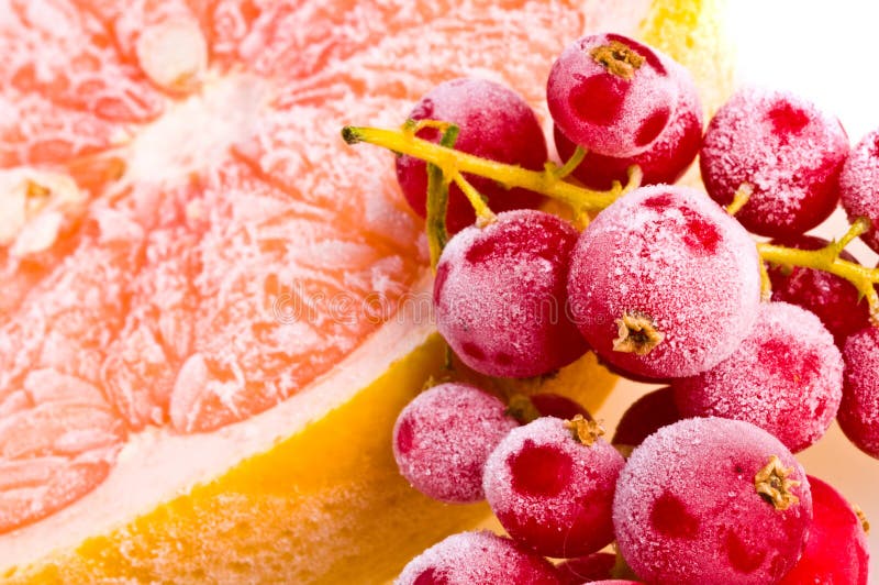 Fruit Dat in Ijs Wordt Bevroren Stock Foto - Image of club, leven: 12266586