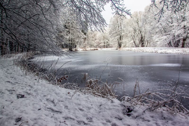 Bevroren meer in het bos stock afbeelding. Image of landschap - 49799031