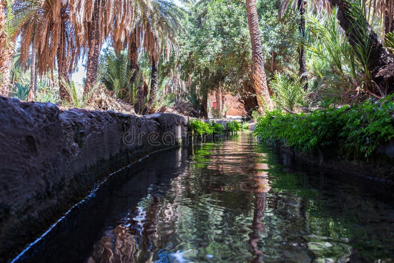 Irrigation System in the Oasis of Tiout Stock Image - Image of nature ...