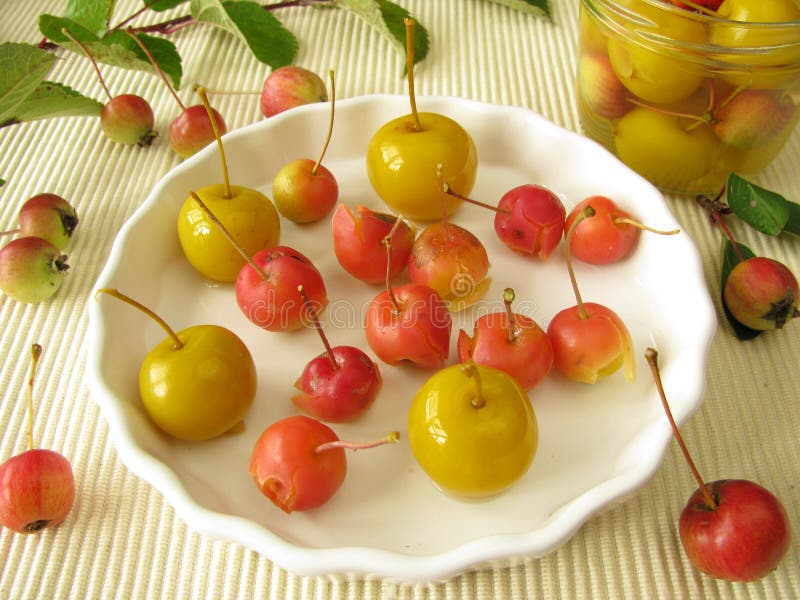 Rode Miniappelen & X28; Krab Apple& X29; Stock Foto - Image of tuin ...