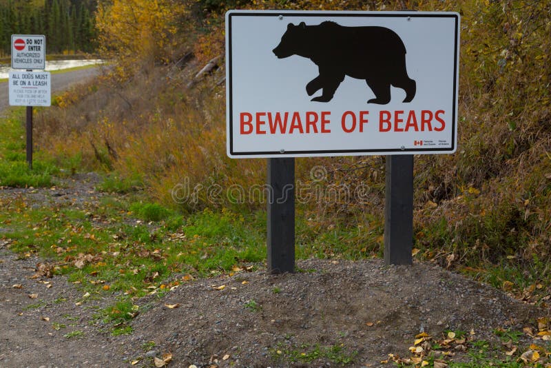Caution Bear in Area Sign stock image. Image of bold - 60828931