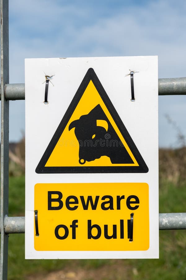 Danger - Beware Of The Bull Stock Photo - Image of land, farming: 30637982