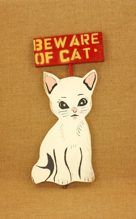 Beware of Cat stock image. Image of front, great, gold - 11374621