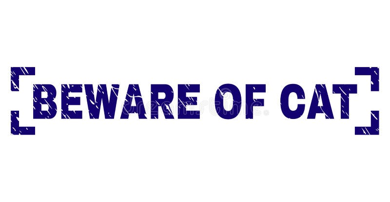 Grunge Textured BEWARE of CAT Stamp Seal between Corners Stock Vector ...