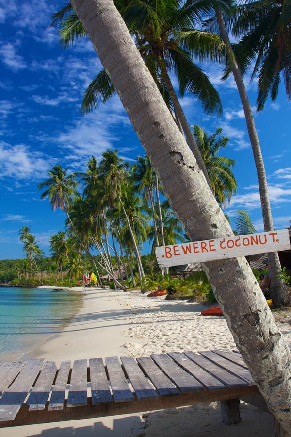 Beware Coconut stock photo. Image of destination, coco - 18711086