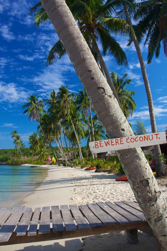 Beware Coconut stock photo. Image of destination, coco - 18711086