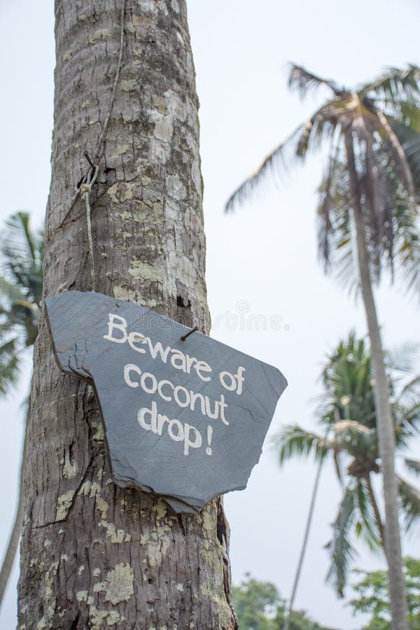 Beware of Coconut Drop Label Stock Photo - Image of mind, plate: 73257462