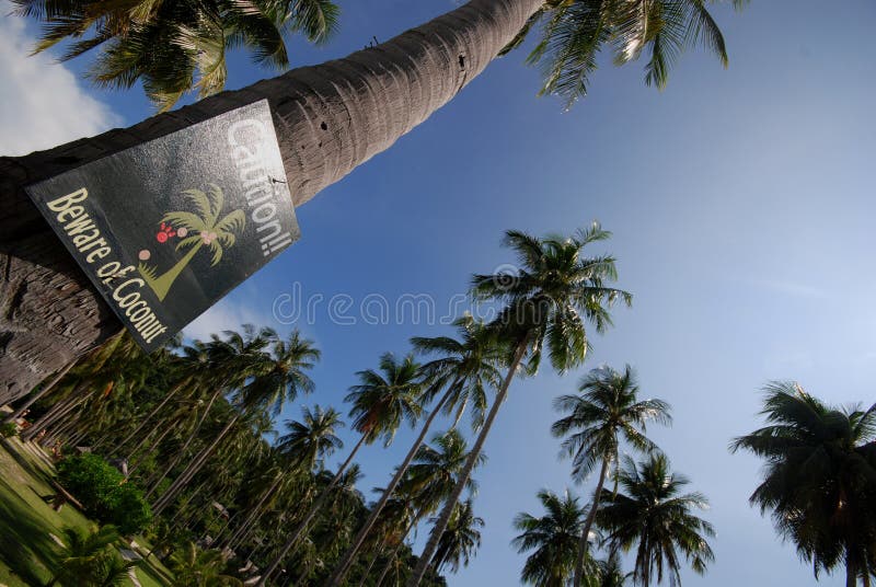 Beware of Coconut sign stock image. Image of coconuts - 3734677