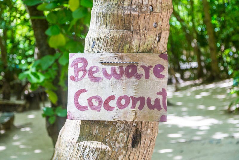 Beware of Coconut sign stock image. Image of coconuts - 3734677