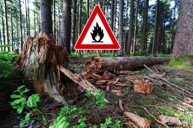 Beware of Forest Fires in Dry Weather Stock Image - Image of ...