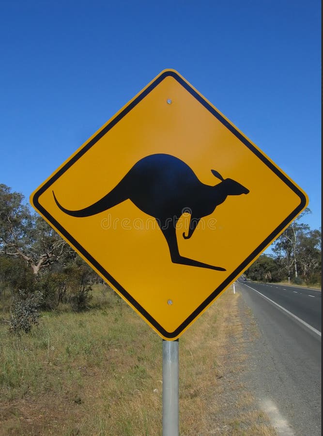 Australian Road Signs Collection Stock Photo - Image of koala, outback ...