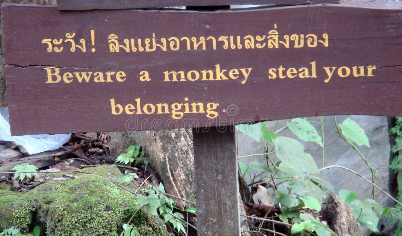 Beware of monkey sign stock image. Image of looking, face - 35851077