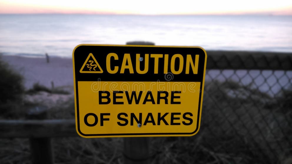 Beware of snakes sign stock photo. Image of dangerous - 385162898