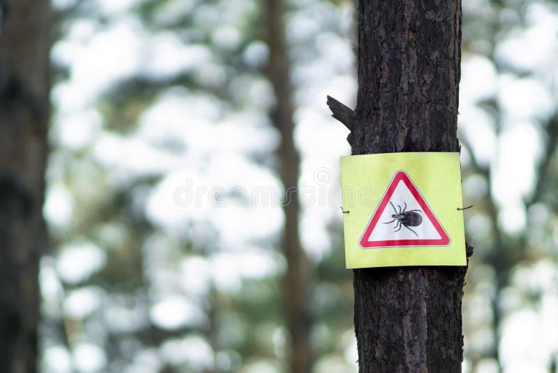 Beware of Ticks Warning Sign on a Tree in the Forest Against a Blurred ...