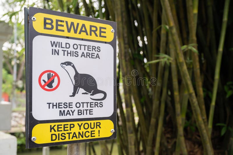 Beware of Wild Otters in this Area Sign Located in the Park Stock Image ...