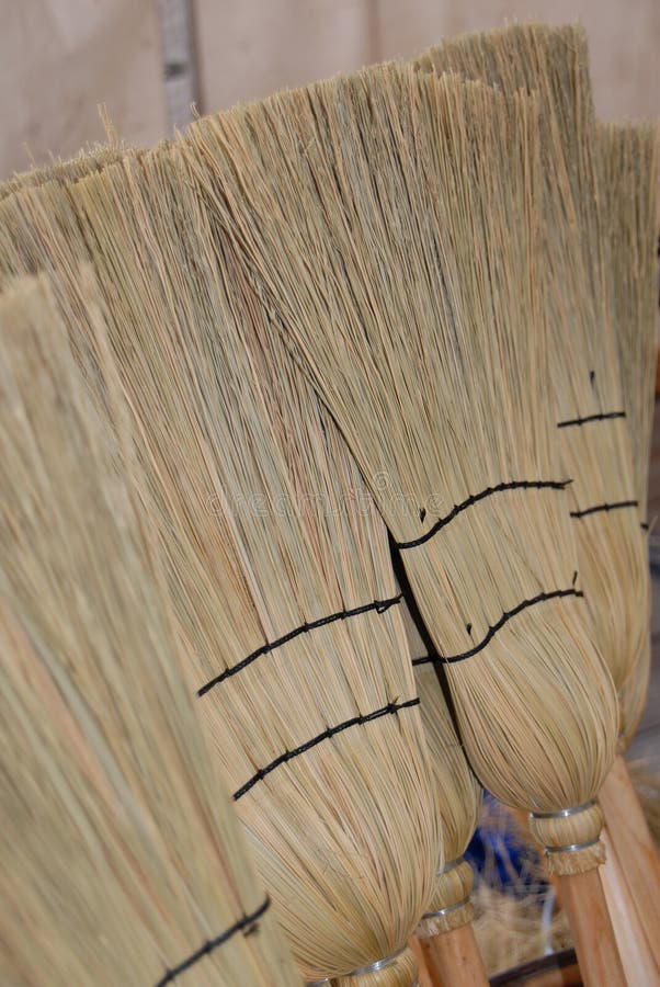 Bezems in een rij stock afbeelding. Image of inzameling - 6310679