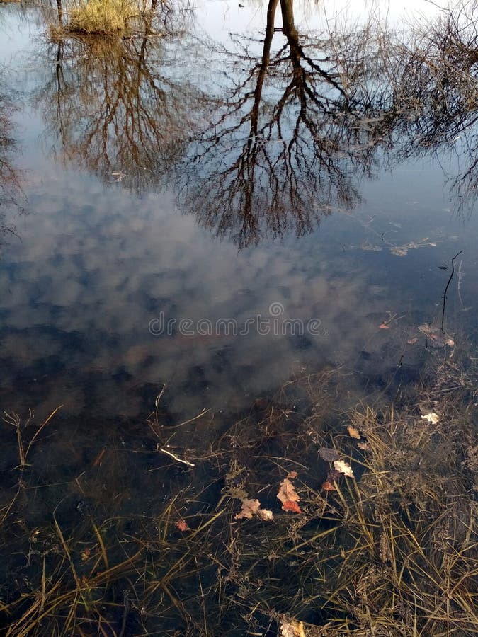 Bezinning stock foto. Image of bezinning, naughty, landschap - 114693556