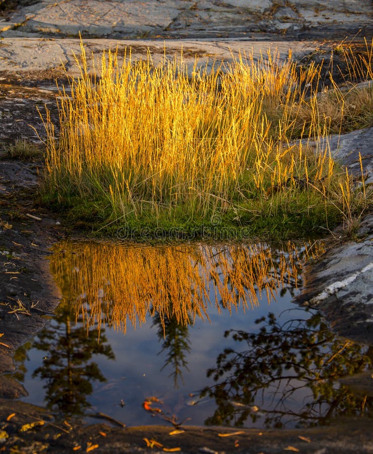 Bezinning stock foto. Image of oppervlakte, bezinning - 70492412