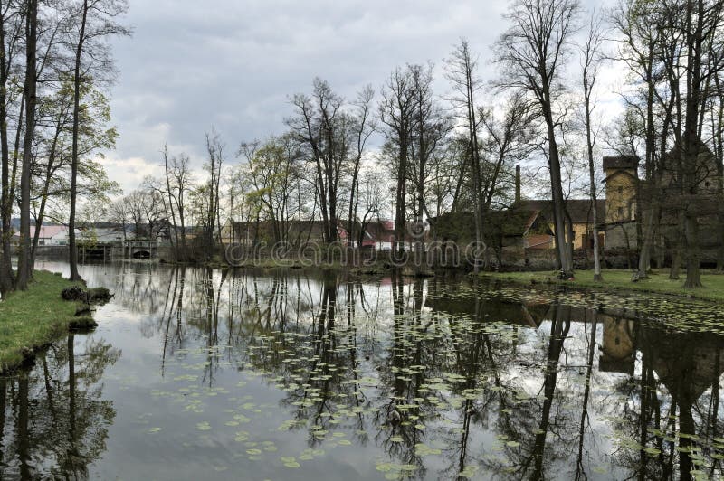 Bezinning van bomen stock afbeelding. Image of bomen - 48501577