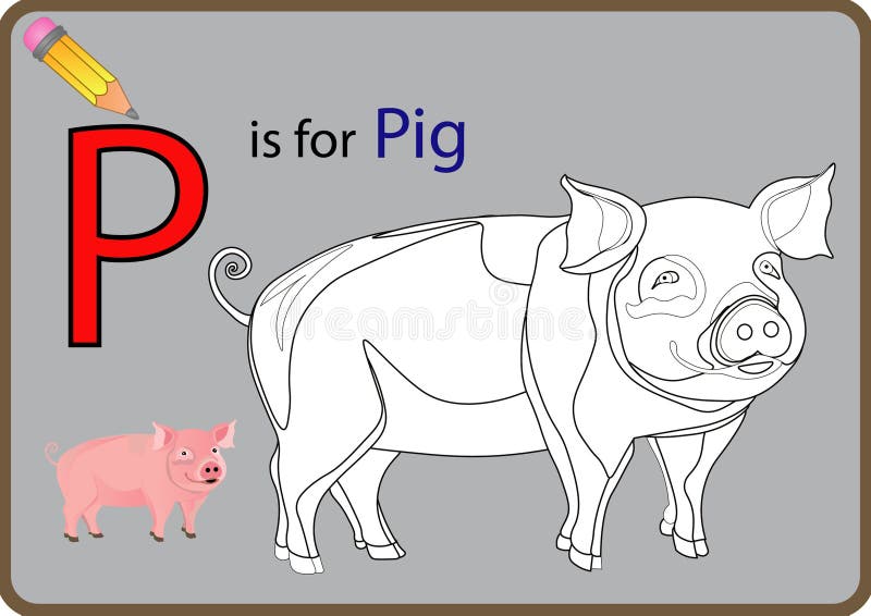 P for Pig stock illustration. Illustration of pages - 362775247