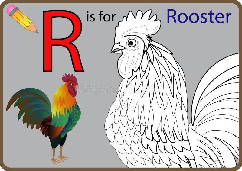 R for Rooster stock illustration. Illustration of white - 362775719