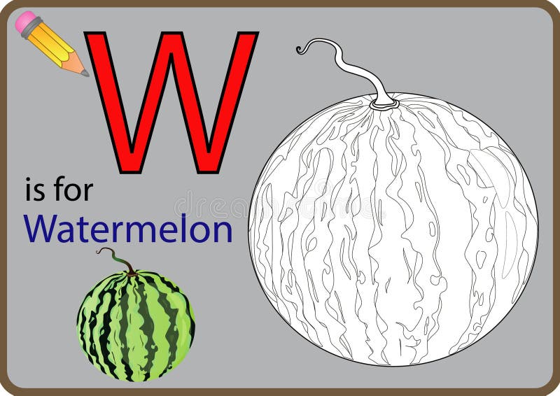 W for Watermelon stock illustration. Illustration of training - 362777479