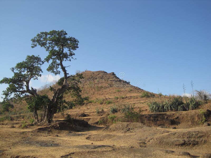 Sunny poona stock photo. Image of maharashtra, peth - 122597180